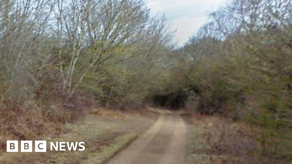 Llynclys country lane still suffering floods despite work
