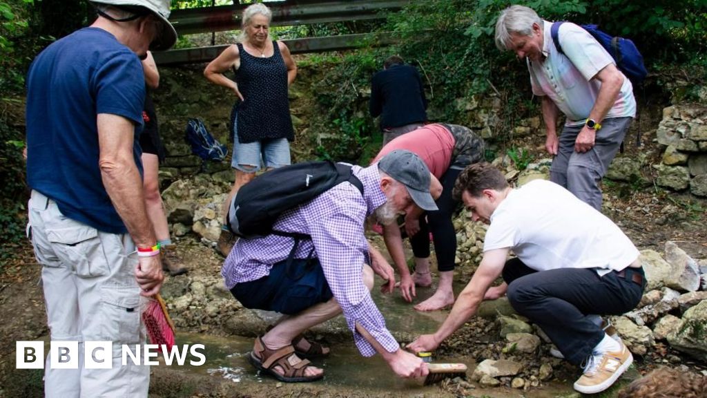 Hidden river celebrated with immersive artwork