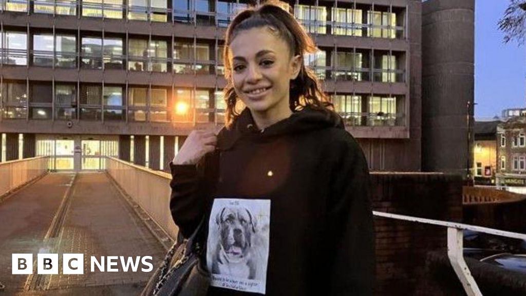 Owner of XL bully shot dead by police in Sheffield is sentenced