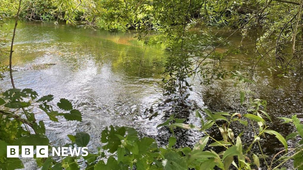 Climate change leads to River Lea chalk stream restoration - BBC News