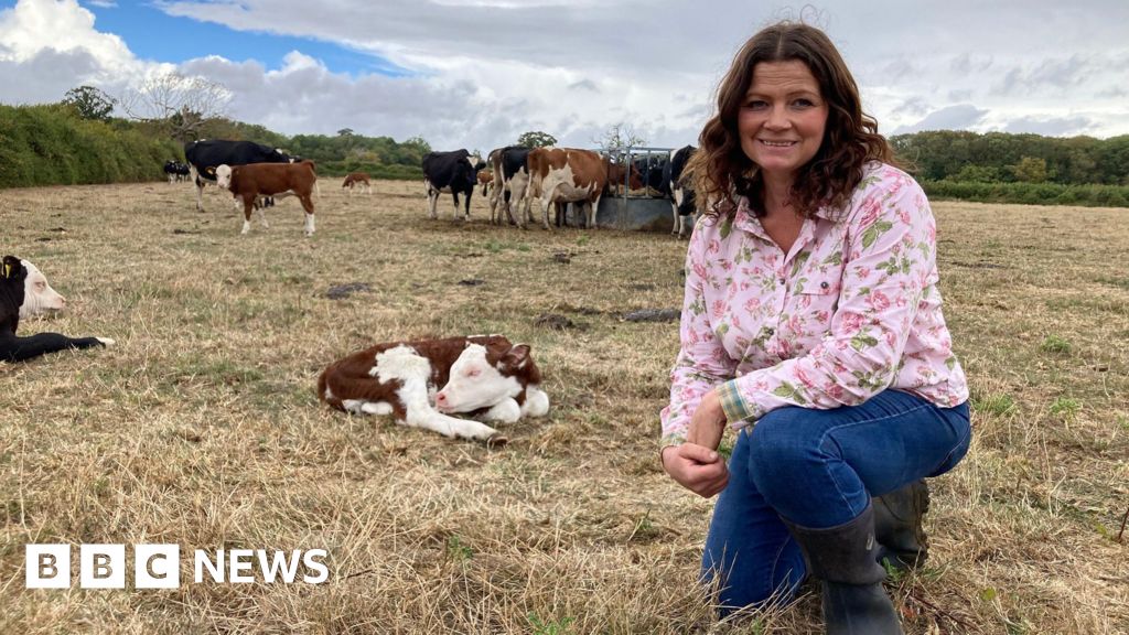 Drought leaves Gloucestershire dairy farmer without winter feed - BBC News