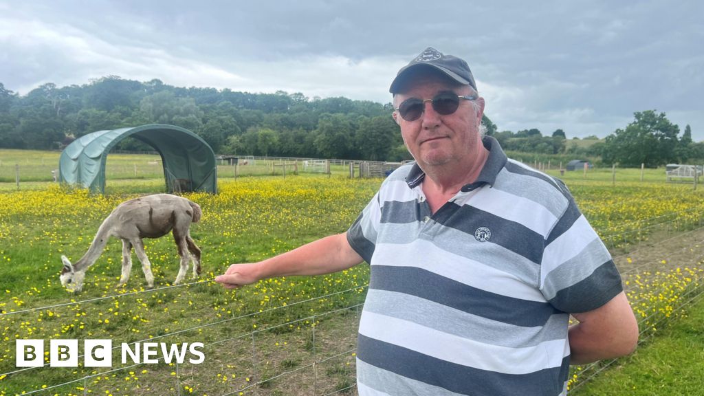 Worcestershire tea room and alpaca farm announces closure - BBC News