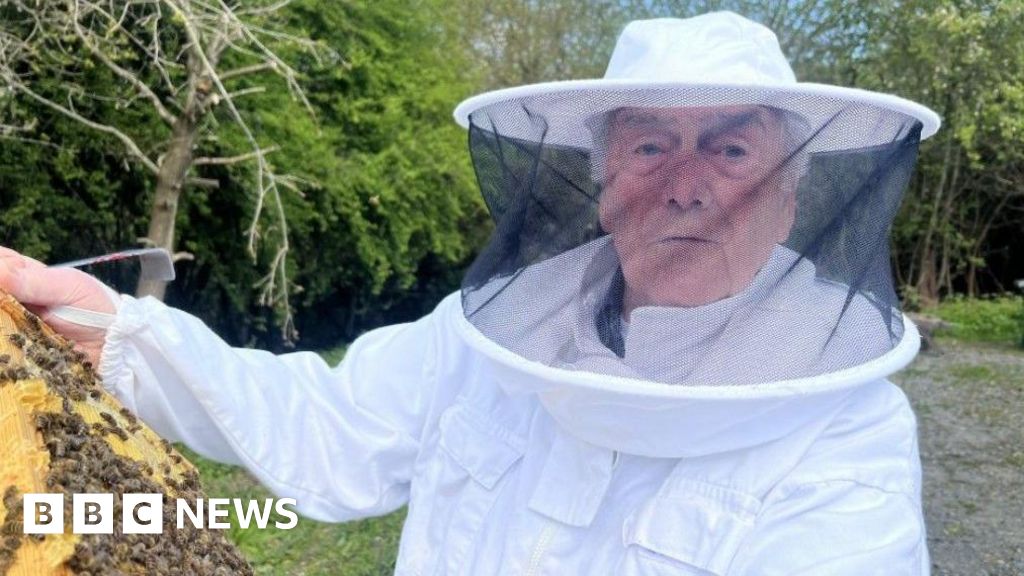 Shropshire beekeepers issue swarm advice