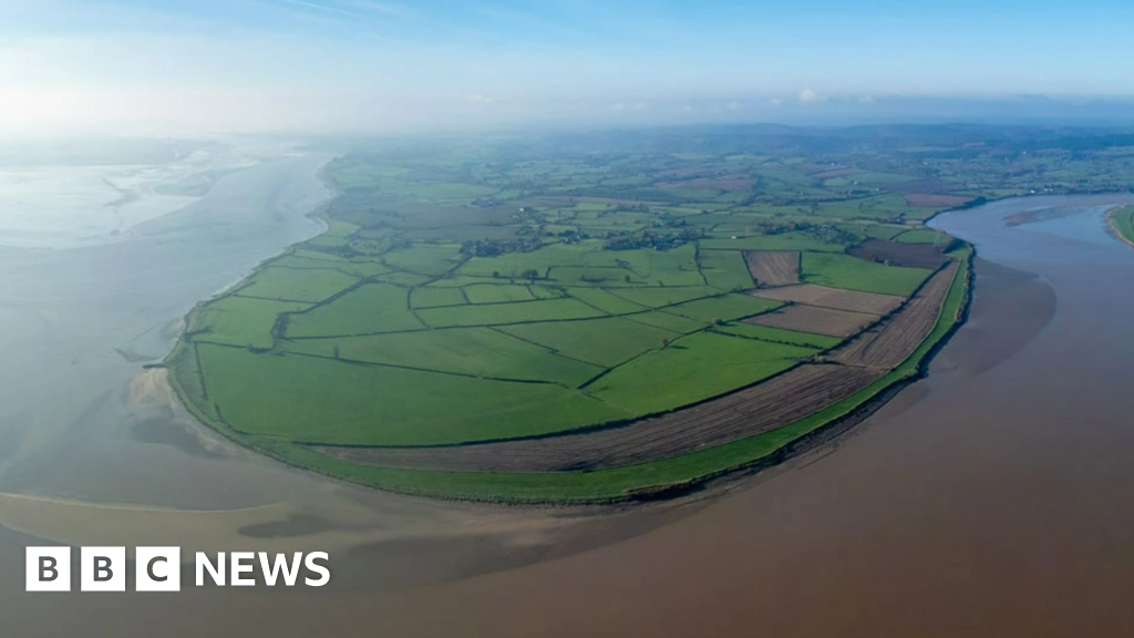 Gloucestershire riverside farmland to be restored to salt marsh