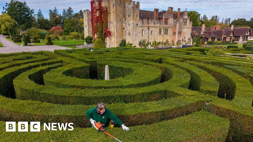 Hever Castle maze trim 'not for the faint hearted'