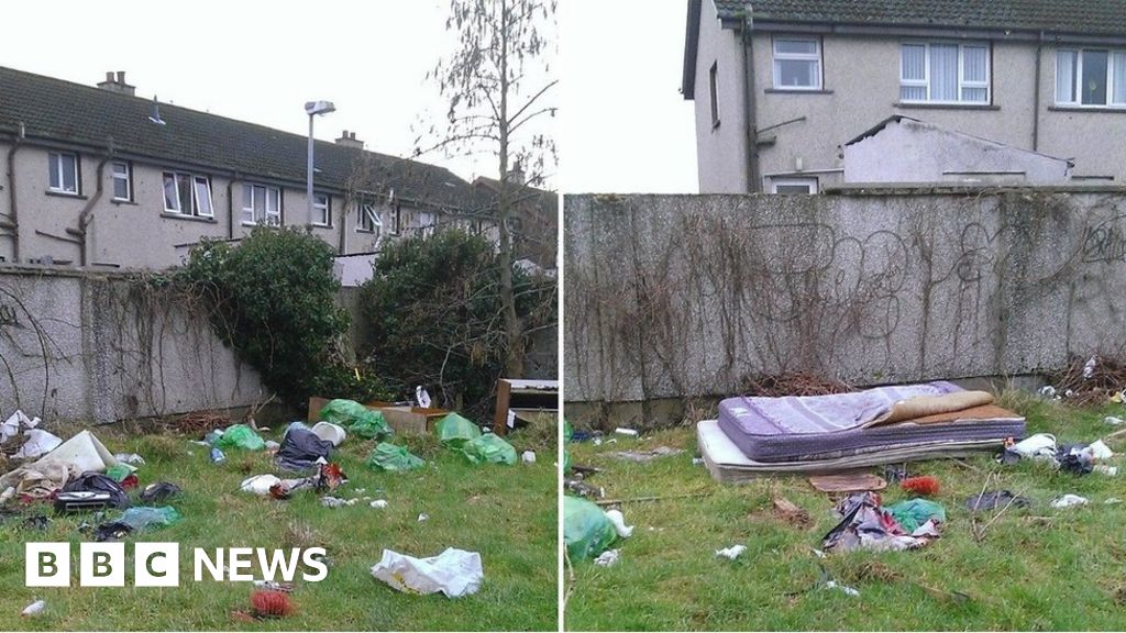 Strathfoyle housing estate in Londonderry 'overrun with rats' - BBC News