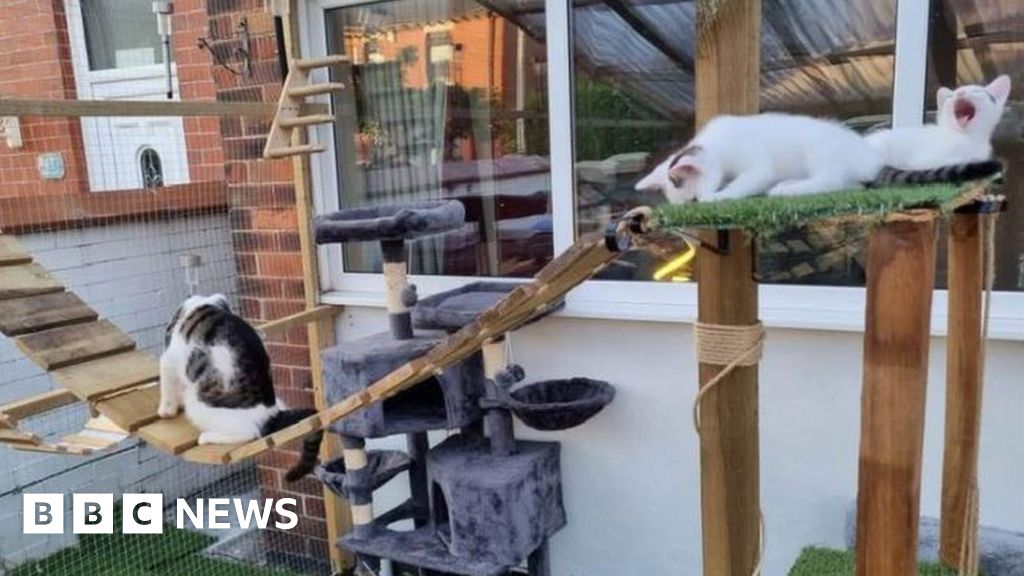 Blackpool cat lovers battle to save giant feline garden playground ...