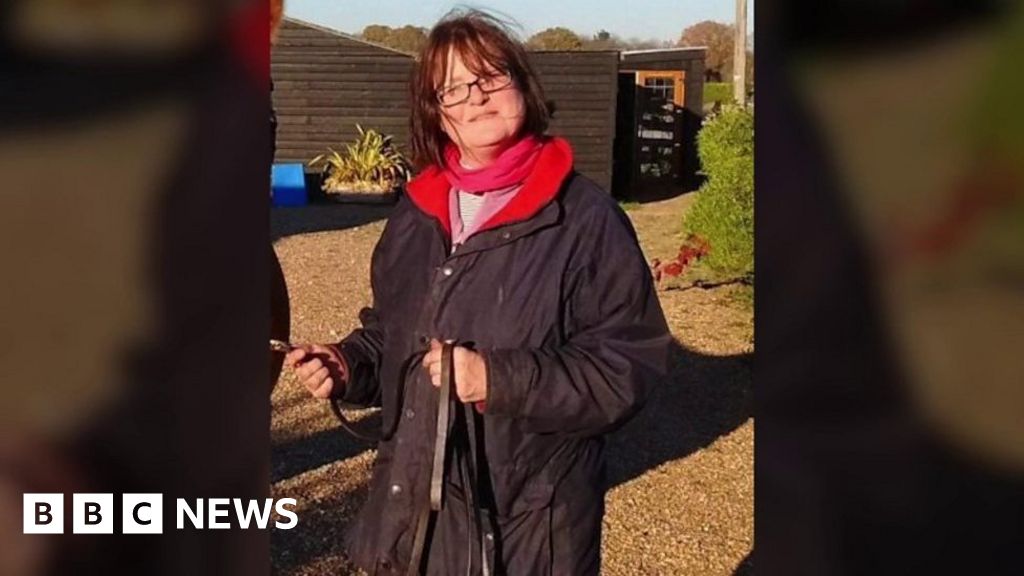 New appeal a year after Barnham woman went missing