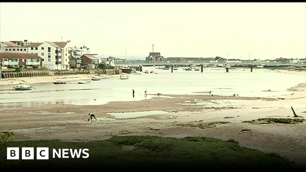 Cockle pickers filmed at Adur Estuary in West Sussex - BBC News
