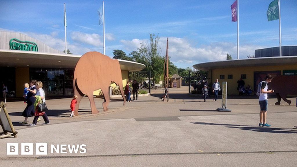 Man dies under double-decker bus at Chester Zoo - BBC News