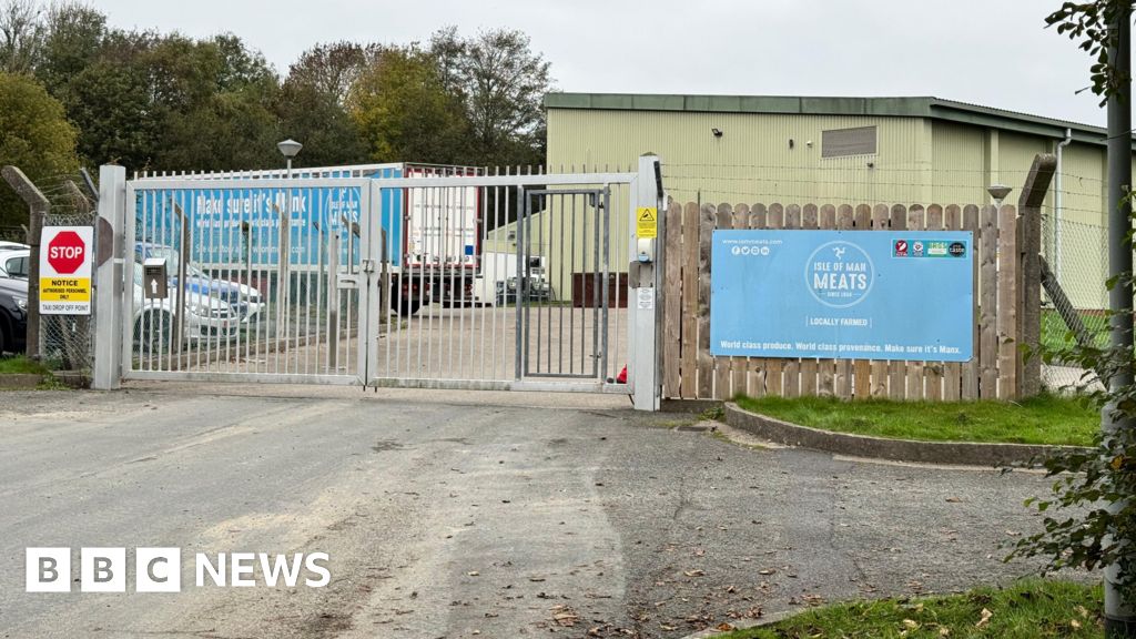 Bull escaped through open front gate at Isle of Man abattoir