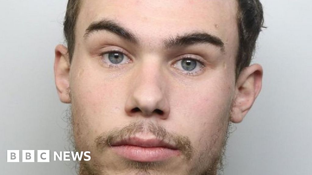 Tashan Daniel: Man jailed for London Underground murder - BBC News