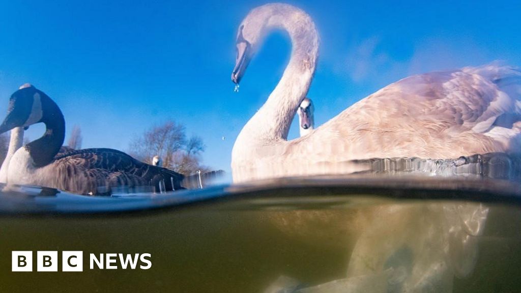River Mersey 'most polluted' with microplastics in UK - BBC News