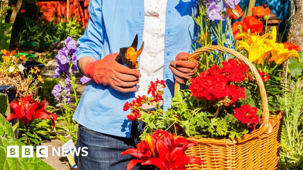 Who was the mysterious gardener Miss Harrison?