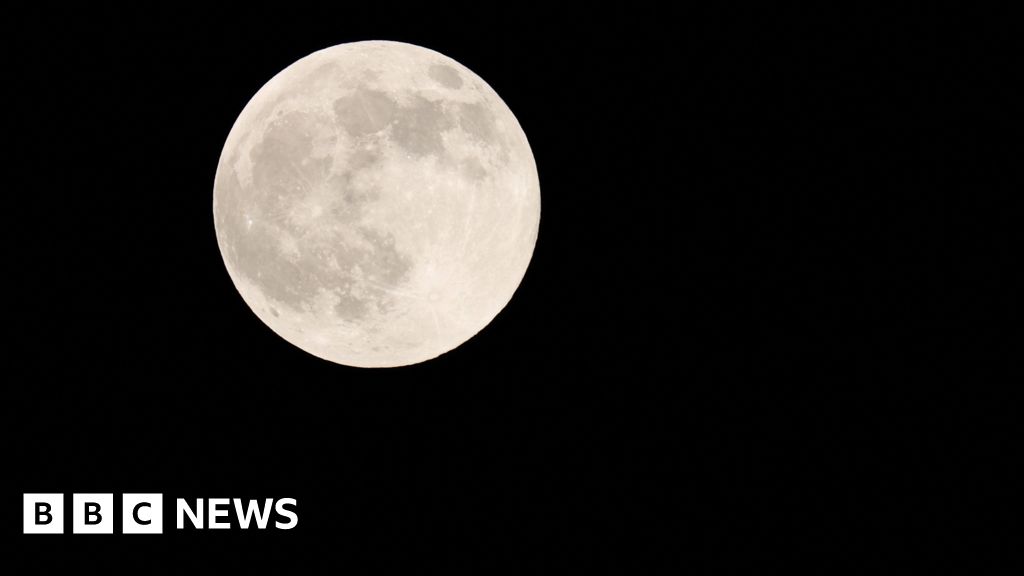 Headlines: 'October Harvest Moon' and 'fox stuck in Specsavers'