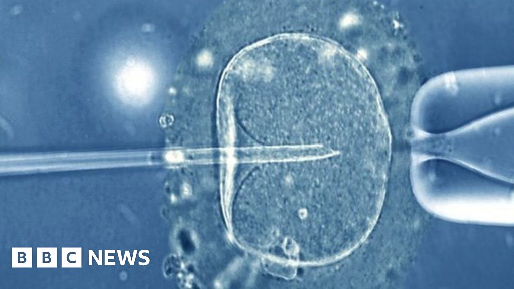 Is it time for embryo research rules to be changed? - BBC News