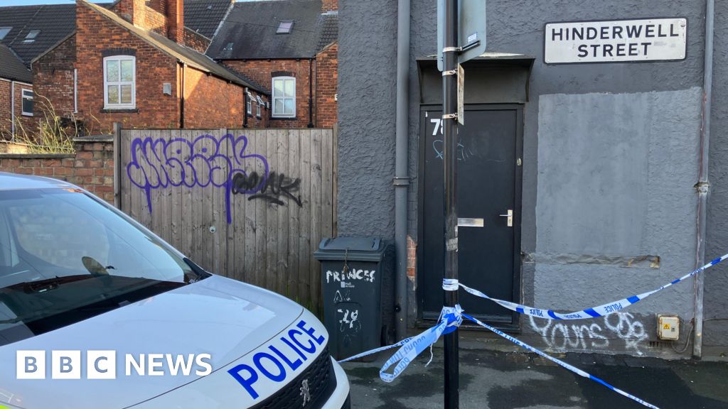 Hull stabbing: Mateus Johannes in court accused of murder - BBC News