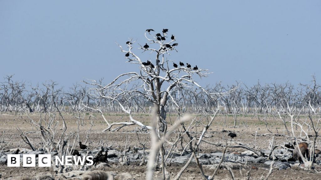 Pilcomayo River: 'Without water, we have no life' - BBC News
