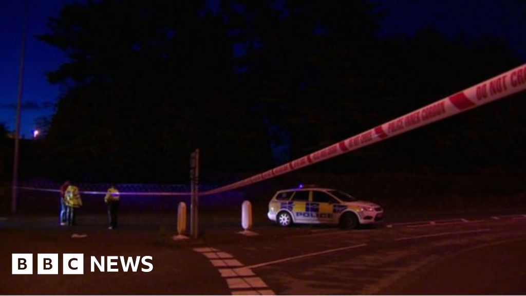 Ballymena: Woman dies after being hit by car - BBC News
