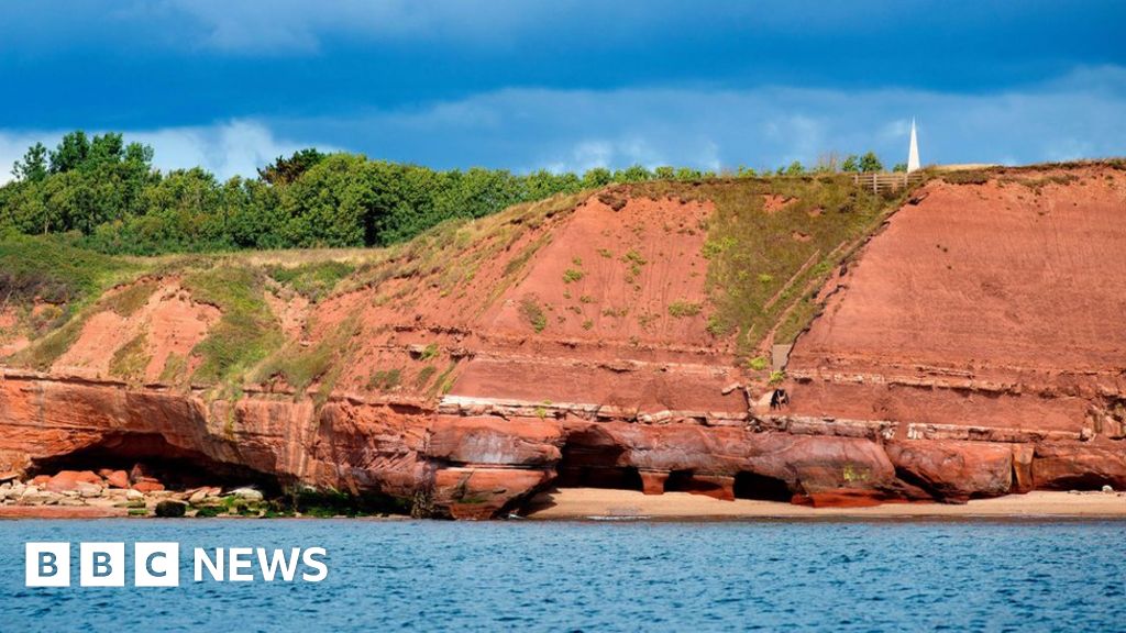 Girl, 16, breaks spine in 60ft Devon cliff fall - BBC News