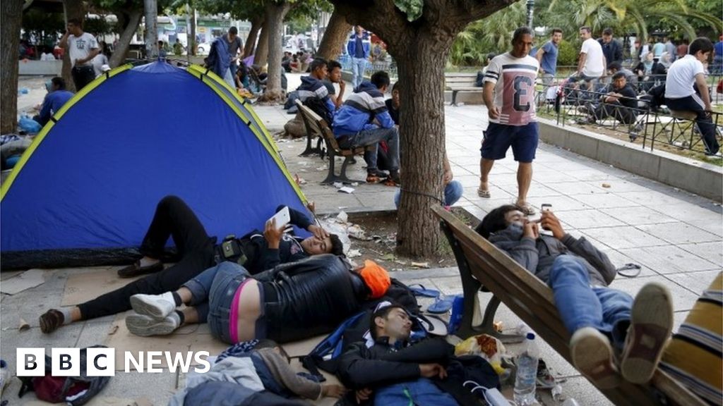 Councils discuss UK refugee plan - BBC News