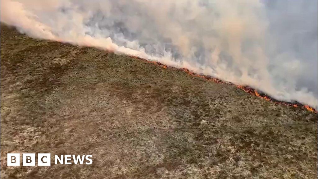 Cannich wildfire: Nature reserve damaged by blaze