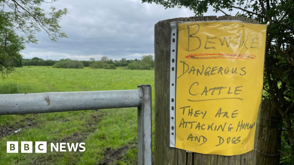 Derbyshire Man Taken To Hospital After Being Trampled By Cows