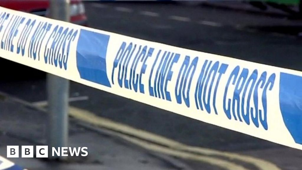 Wisbech murder inquiry: Man dies in stabbing attack - BBC News