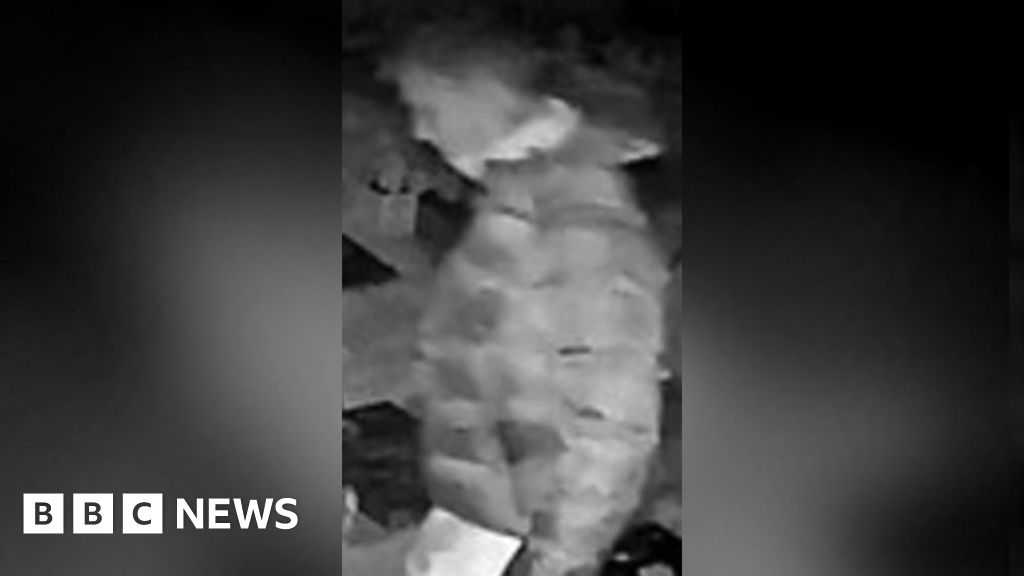 Man sought after baby graves damaged at Plymouth cemetery