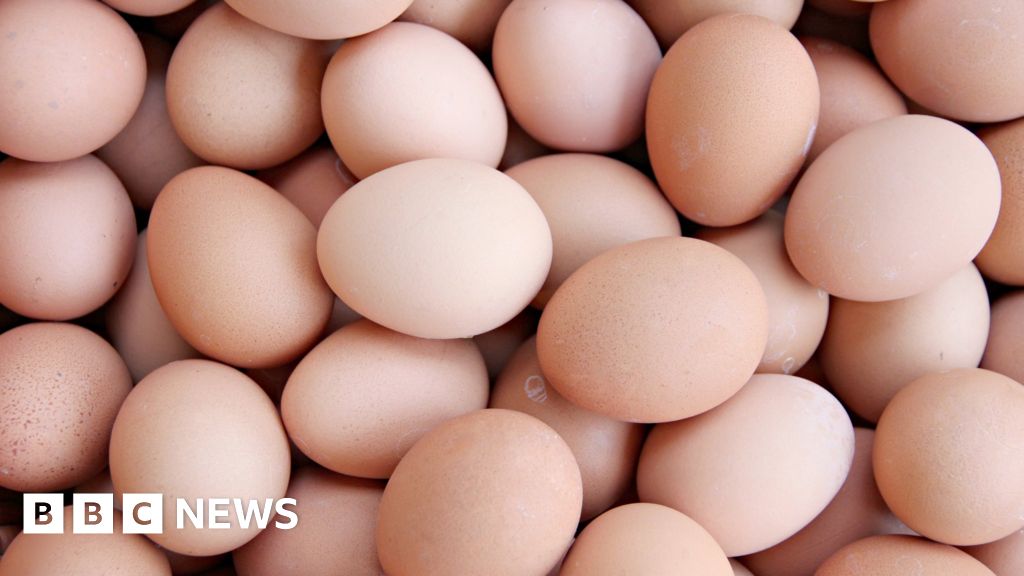 Glenrath Farms wins Peebles chicken shed appeal