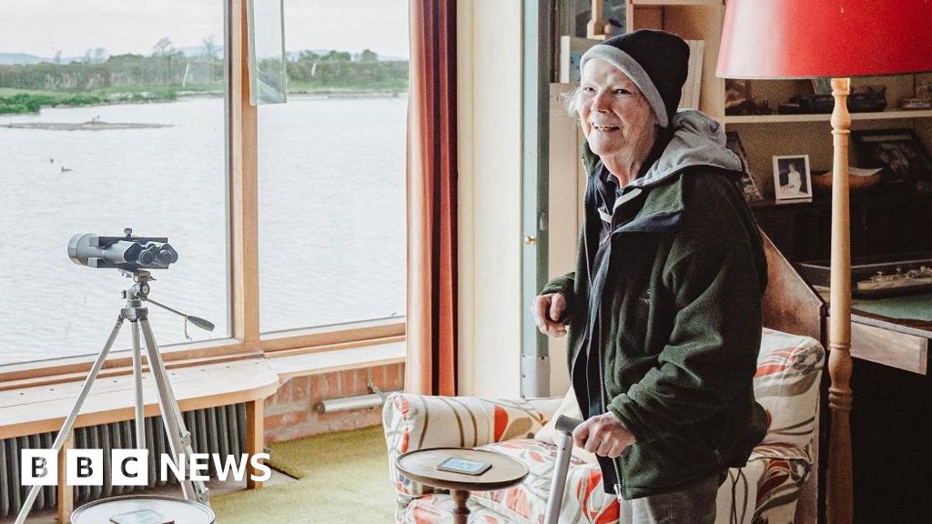 Swan named after volunteer who brought 'so much joy' - BBC News