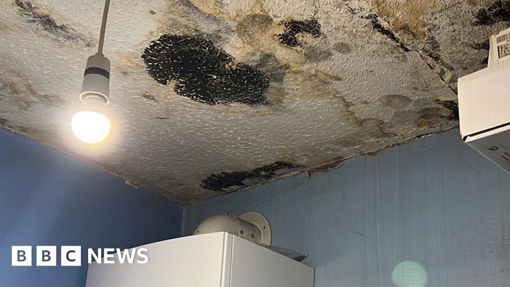 Family home infested with 'raw sewage', flies and rats