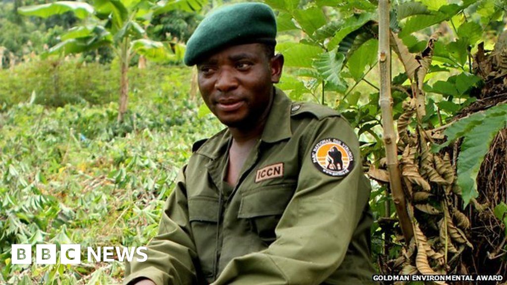 The park ranger kidnapped and tortured for protecting wildlife - BBC News