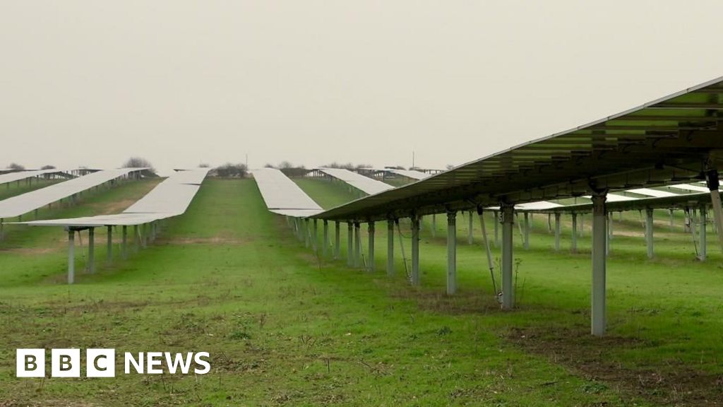 Proposals for solar farm near Catterick Garrison - BBC News
