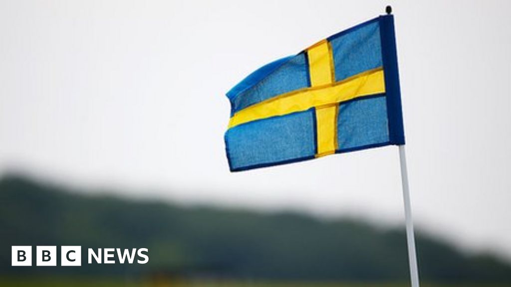 Sweden data leak 'a disaster', says PM