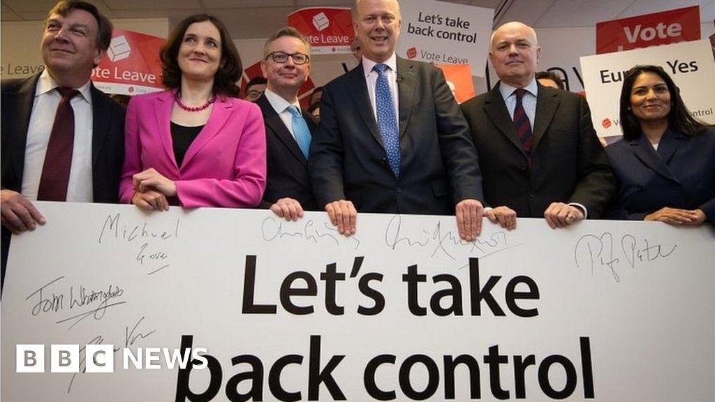 Michael Gove: I wanted 'different feel' to Vote Leave campaign