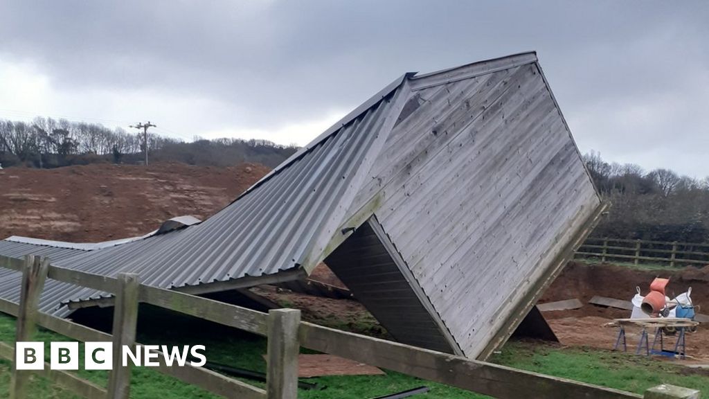 Isle of Wight Donkey Sanctuary Storm Arwen appeal successful - BBC News