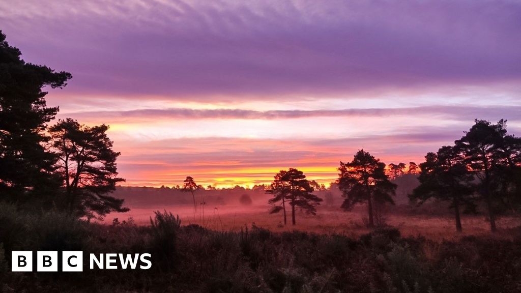 Beautiful pictures of Wednesday's sunrise in Hampshire and Dorset - BBC ...