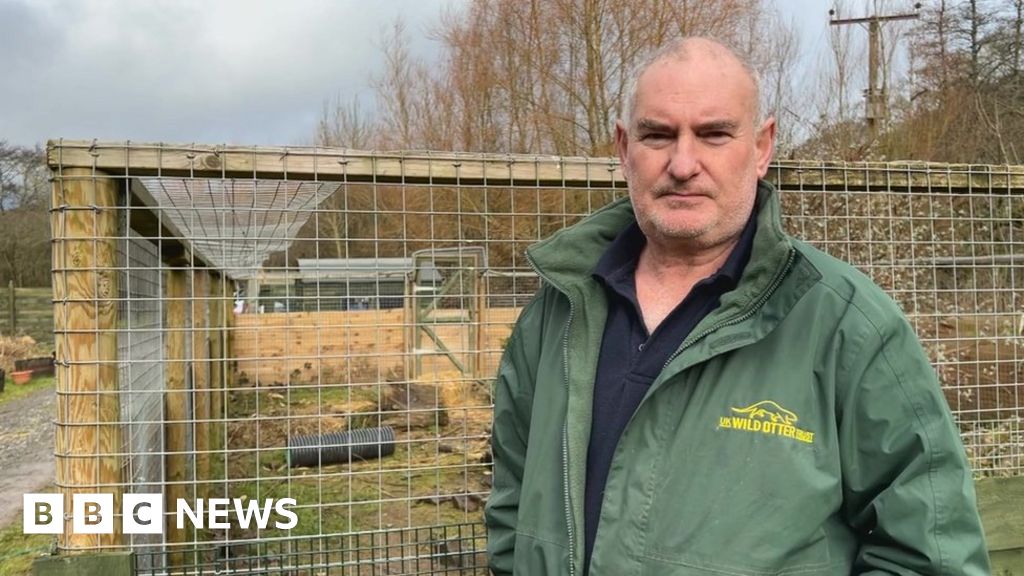 Dave Webb: Devon otter charity founder honoured by PM - BBC News