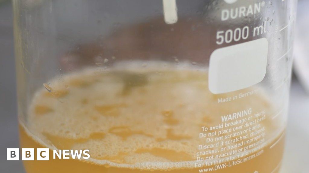 Bricks ‘grown’ using urine invented by South African scientists - BBC News