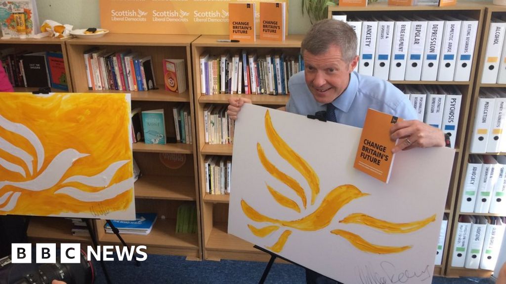 Lib Dem manifesto: Anarchic humour and hand-painted birds - BBC News