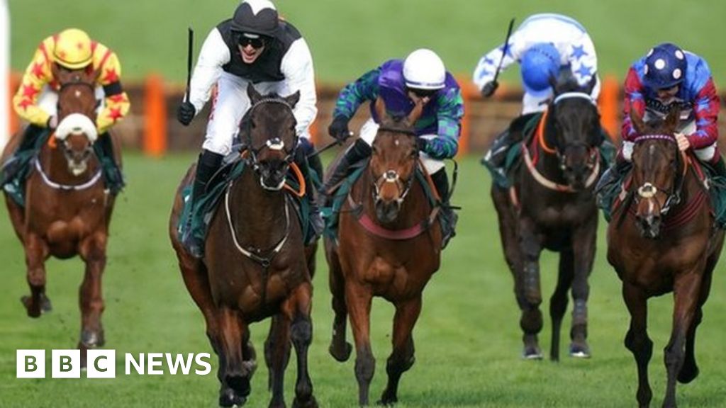 Cheltenham Festival horse racing event to cap spectator numbers - BBC News