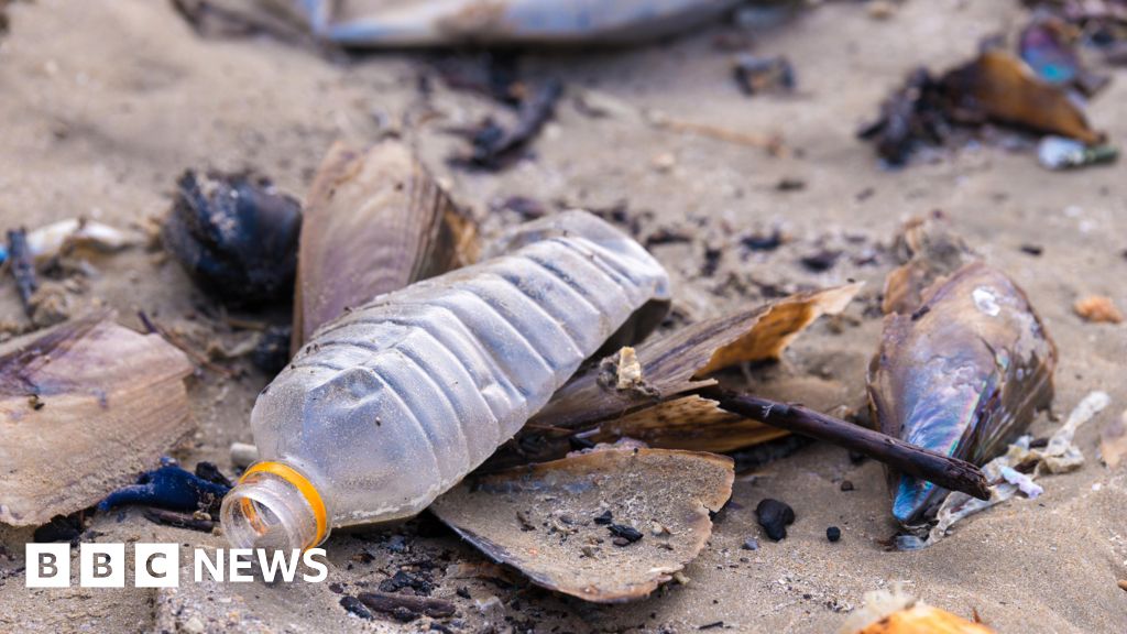 Two Devon councils team up to tackle plastic pollution - BBC News