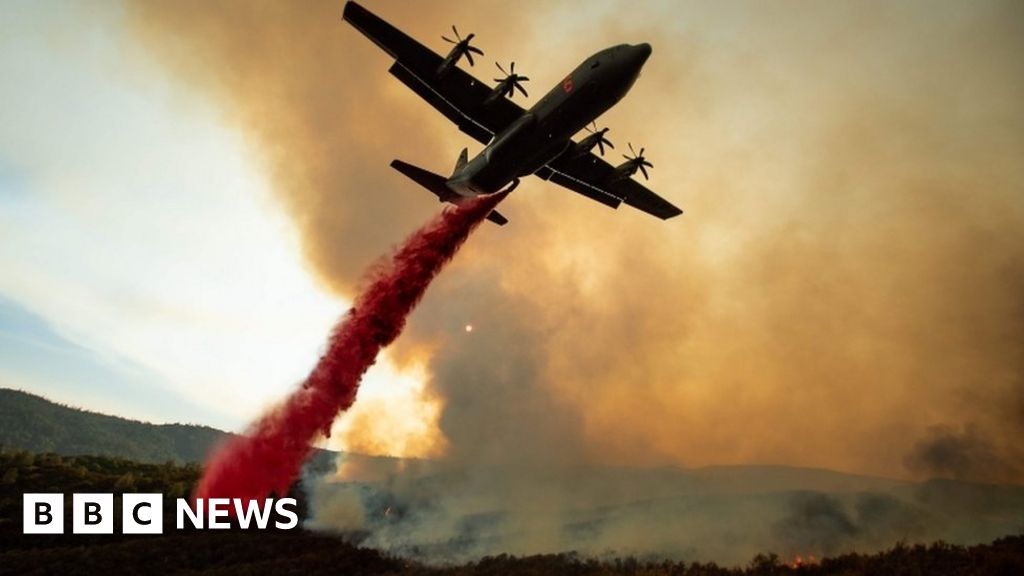 California wildfire declared 'largest in state's history' - BBC News