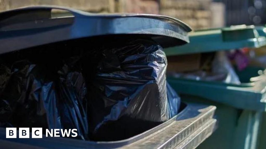 Sheffield bin collection delays warning as strike continues - BBC News