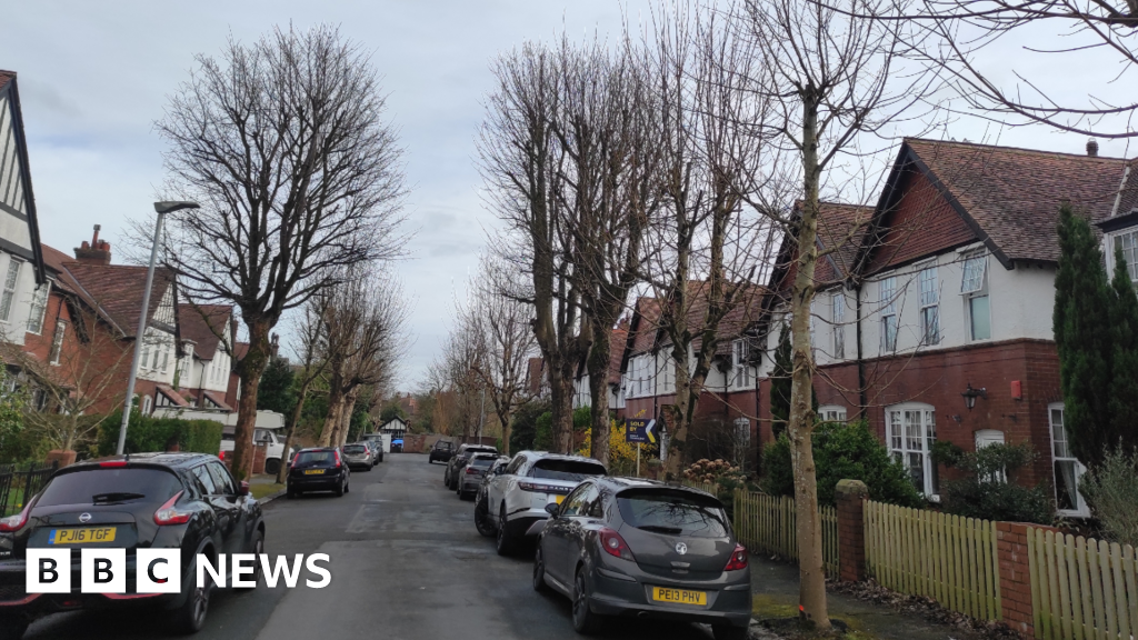 Residents in Barrow-in-Furness oppose plans to fell trees - BBC News