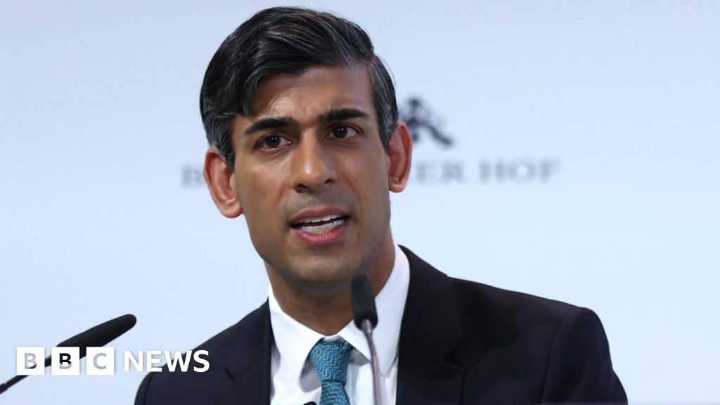 NI Protocol: Will Rishi Sunak's deal pass DUP checkpoint? - BBC News