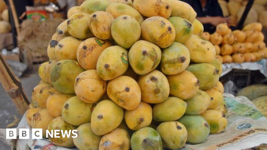 India-Pakistan 'mango diplomacy' isn't fruitful - BBC News