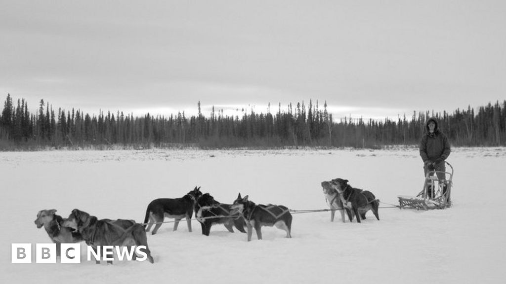 In pictures: Living near the Arctic Circle - BBC News