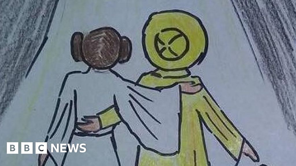 Debbie Reynolds and Carrie Fisher: Artist tributes - BBC News